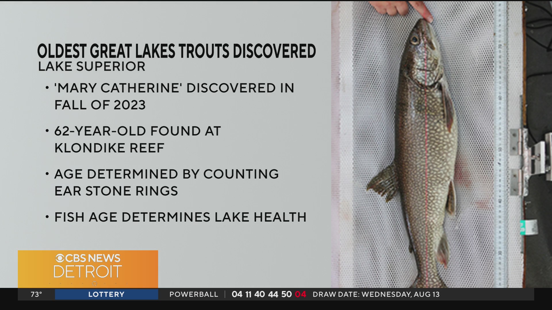 62-year-old fish caught in Lake Superior thought to be oldest-ever trout
