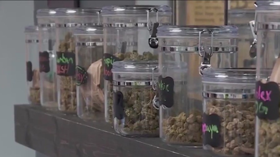 Oceanside finalizing dispensary license process for first cannabis ...