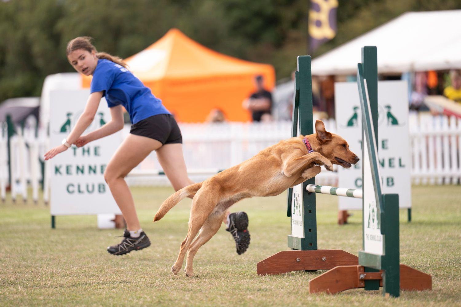 Teenager and Labrador win prestigious dog agility competition