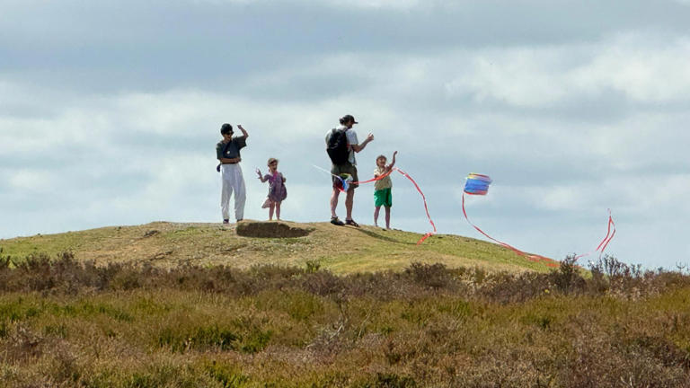 If Your Home Is Toxic, These Signs Will Reveal It!