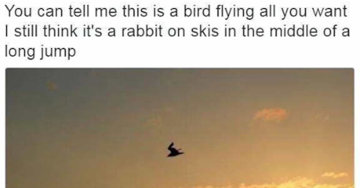 27 Images Hidden in Plain Sight That We Can't Unsee