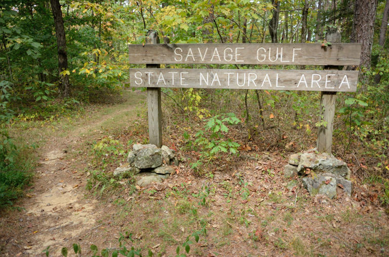 Hiker who died after being bitten by venomous snake in Tennessee made ...