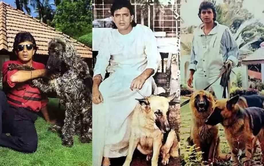 Millionaire dogs! This famous Bollywood actor has named his property ...
