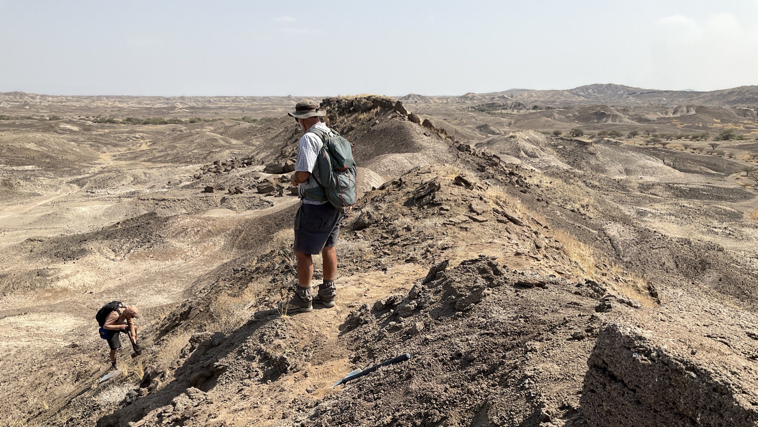 A lost chapter in human evolution has finally been uncovered