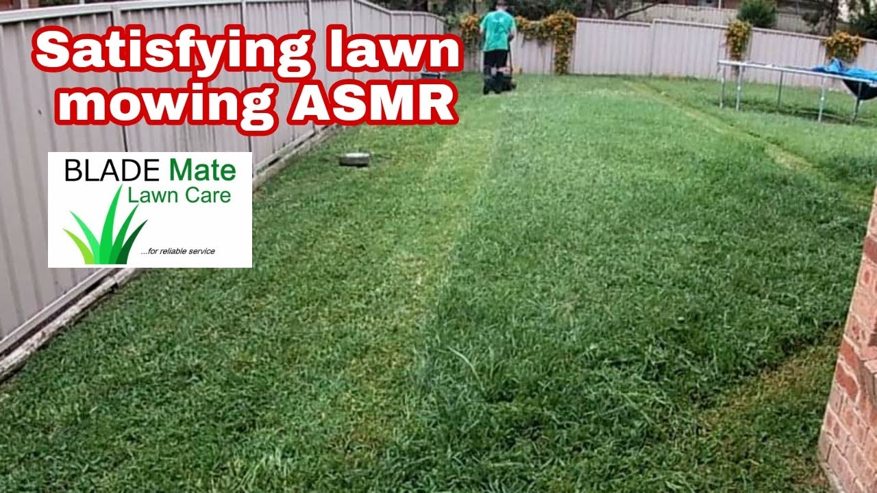Satisfying Lawn Mowing Sounds - No Talking, Just Grass