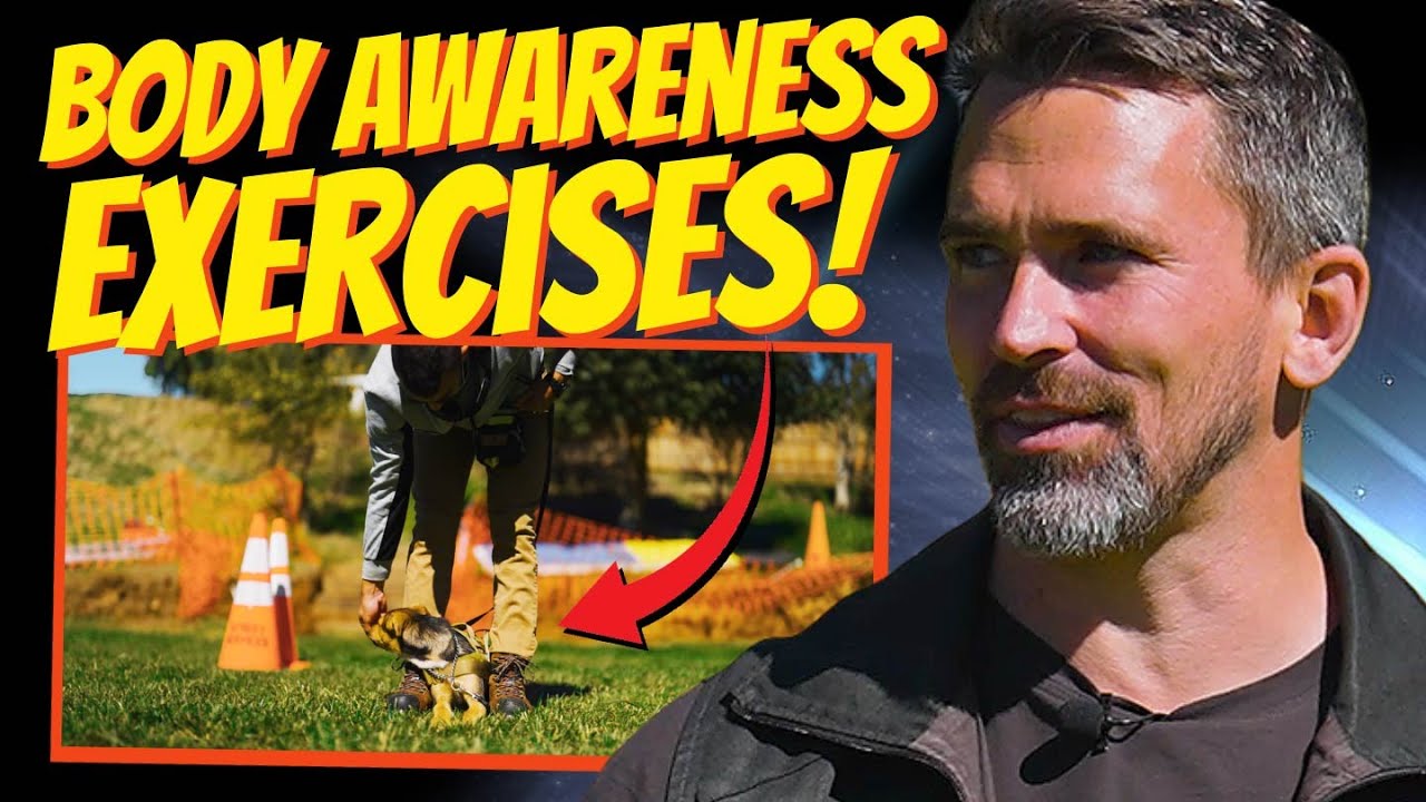 The Dog Stretch That Could Add Years to Their Life