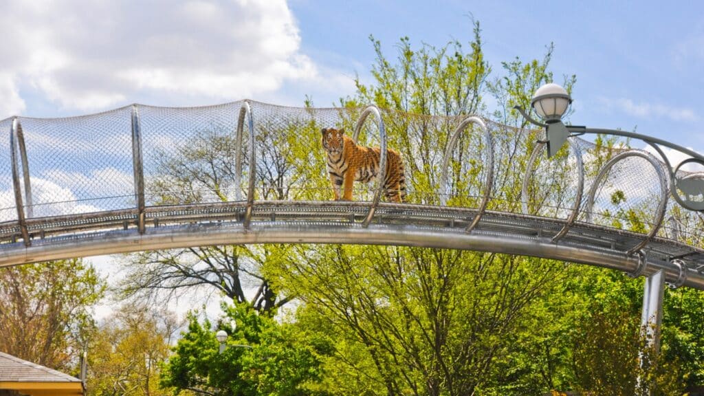 U.S. zoos with exhibits older than your great-grandparents