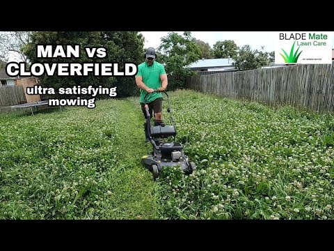 Clover Chaos Tamed - Insanely Smooth Lawn Mowing Transformation