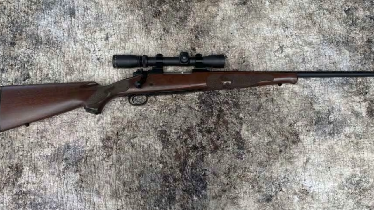 Guns people should have kept