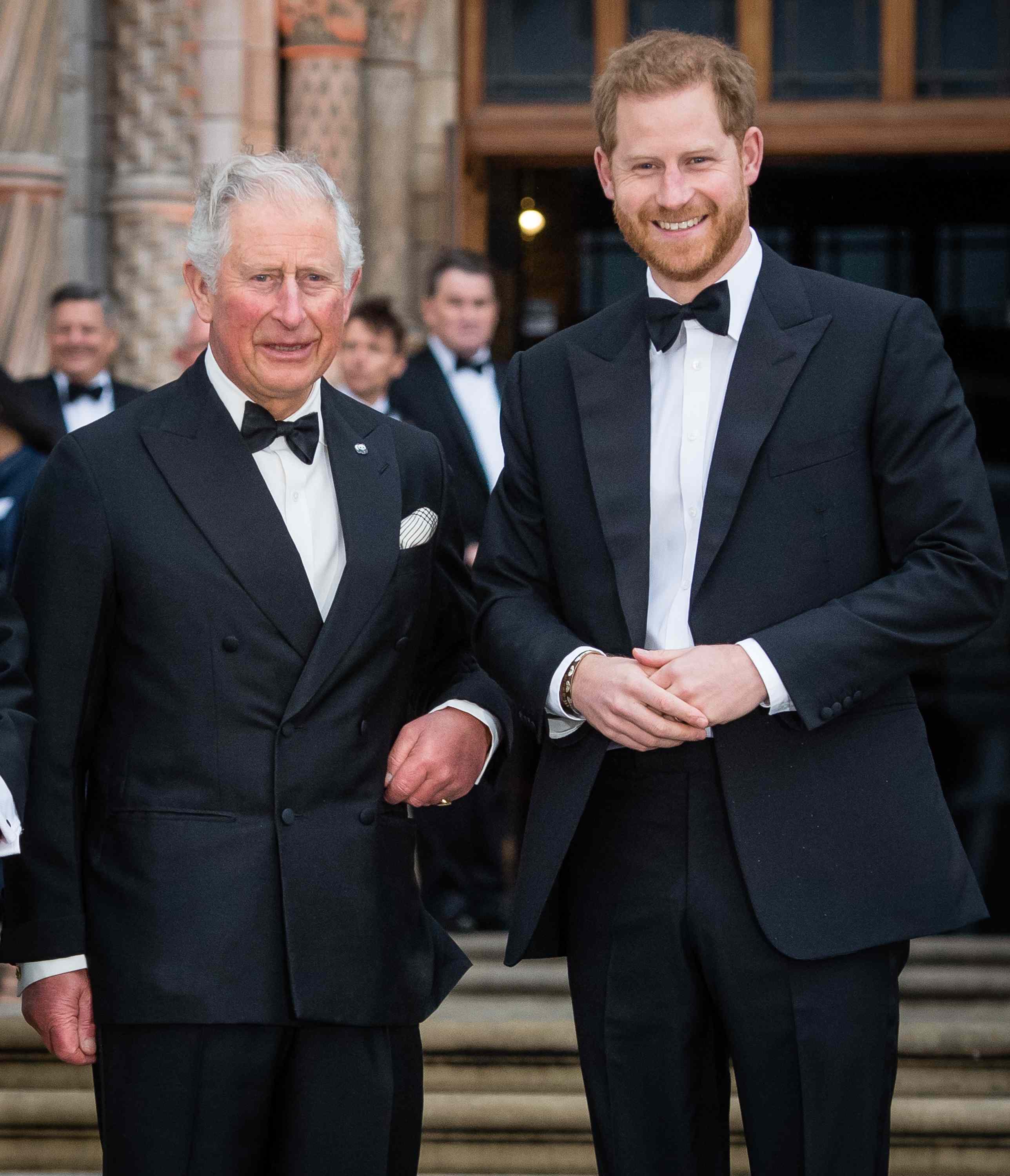 Prince Harry makes unexpected cameo in King Charles’s new documentary ...