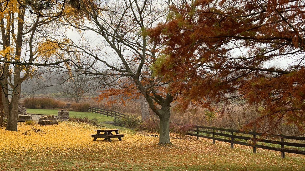 12 Scenic State Parks That Are Perfect for Picnics