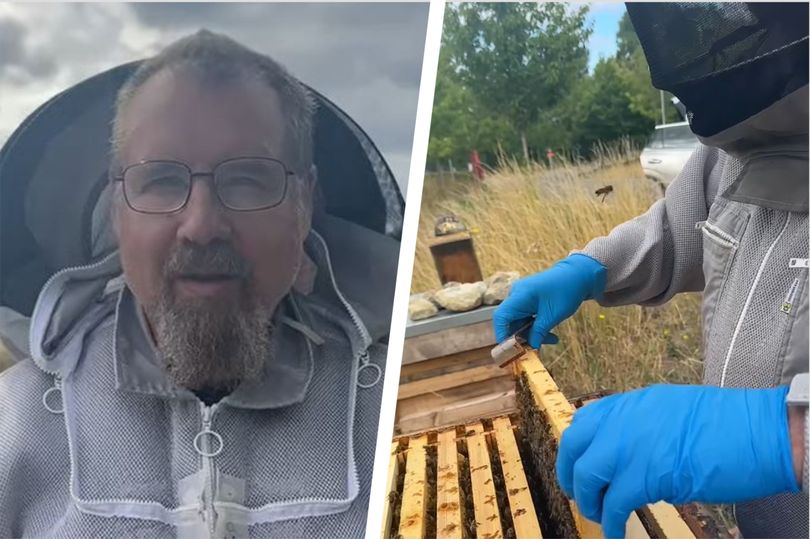 'Gentle' bees are living at a Bristol hospital and 'it's going well'
