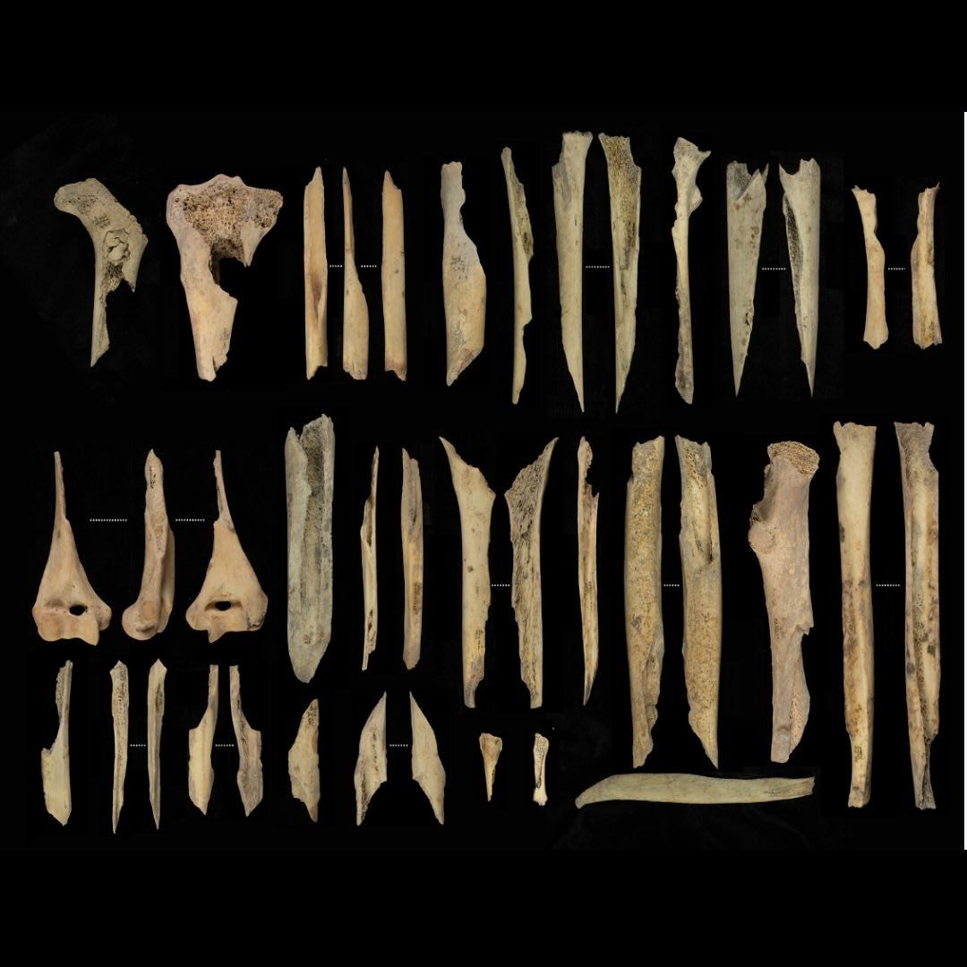 Ancient discovery proves disturbing practice was far more common than ...