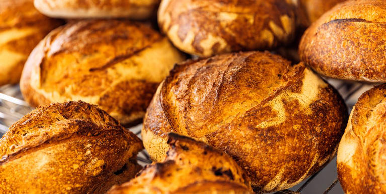 It's A Loaf Story—Panera Bread Churns Out Sourdough In Honor Of Taylor ...