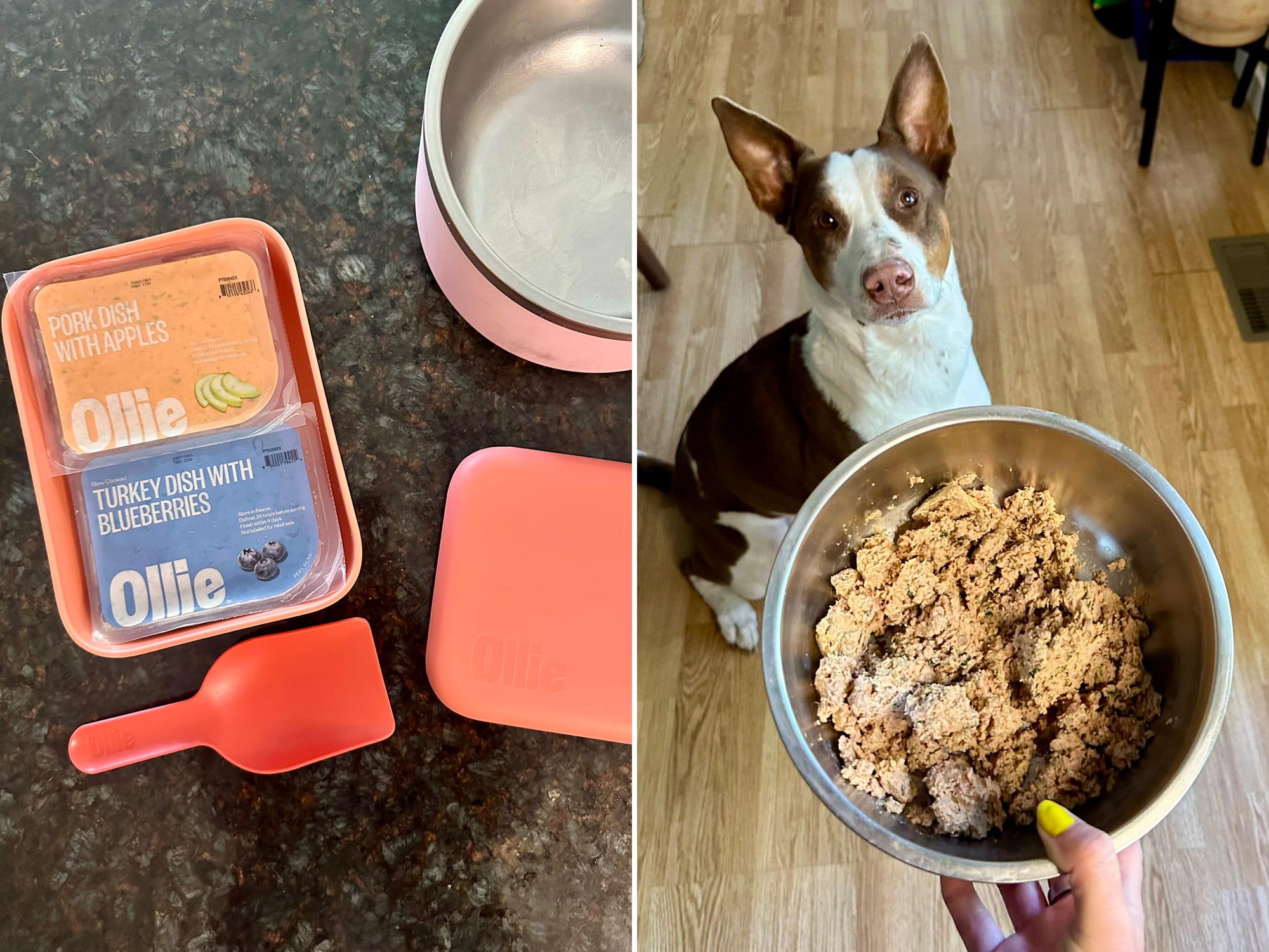 I fed my pup Ollie fresh food for a month, and I've never seen her more ...