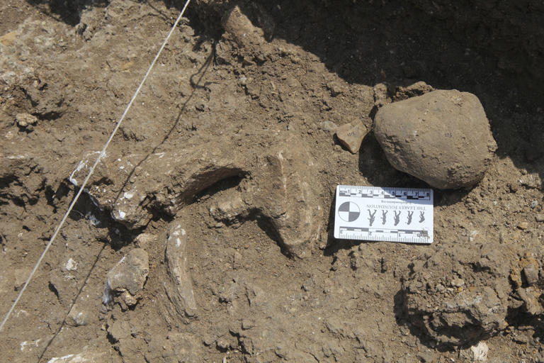 Stone Age humans were picky about which rocks they used for making ...