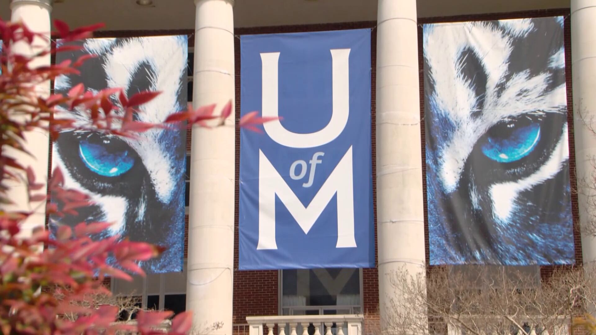 UofM freshman class enrollment rises