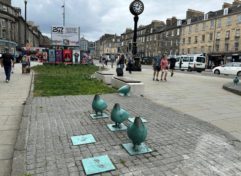Disappointment as Elm Row pigeon sculpture goes missing for fourth time ...