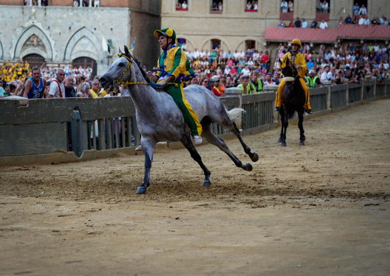 Palio di Siena, contrada del Bruco vince anche prova generale