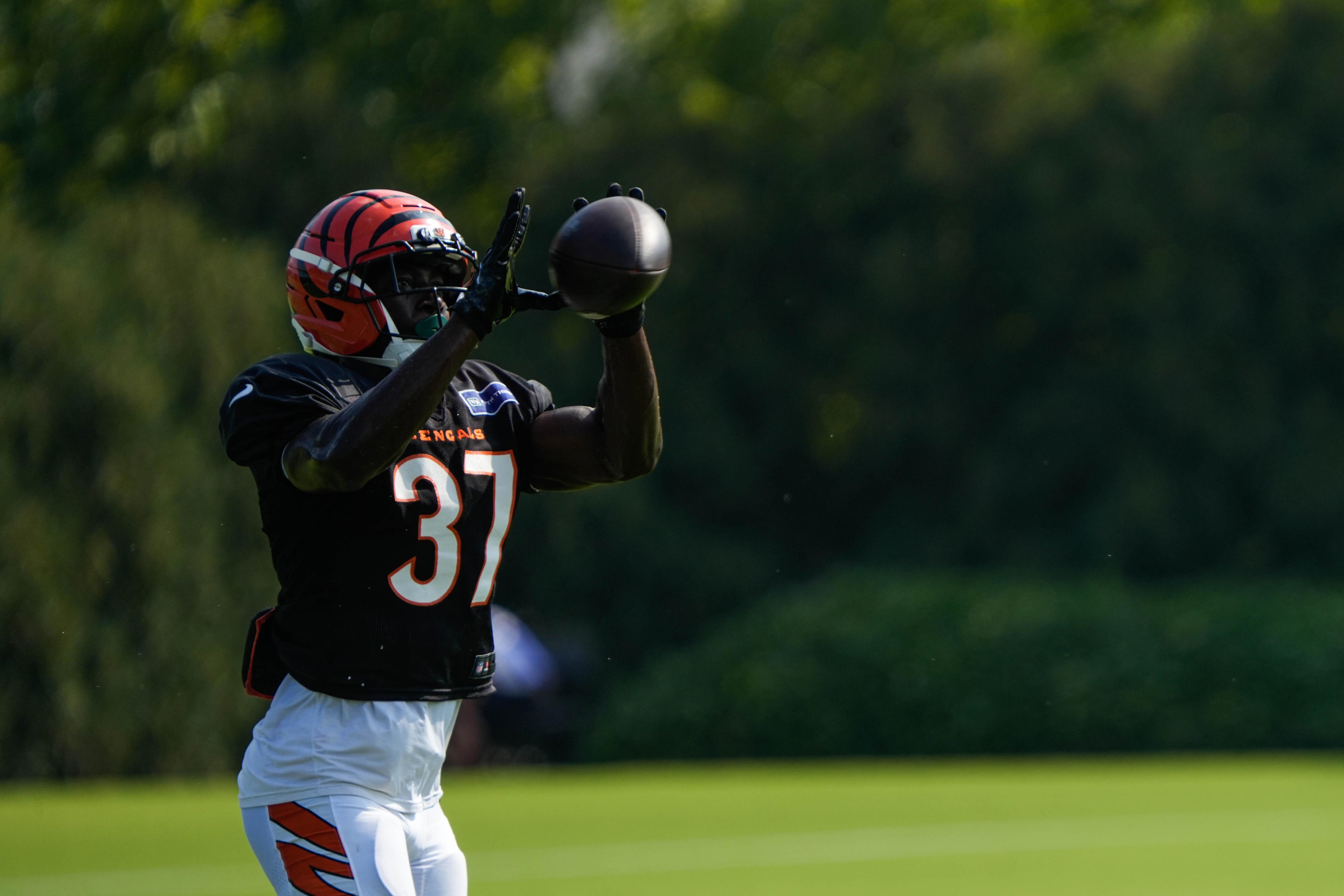 Bengals defensive back PJ Jules injures ankle vs Bills in NFL Week 14