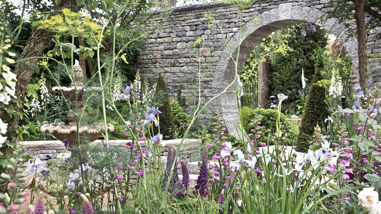 Traditional, tawdry bedding plants are out – 7 plants you need to grow ...