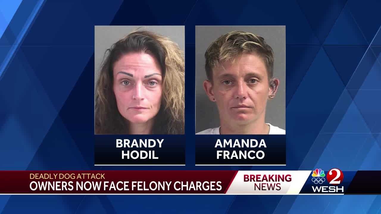 Volusia County dog owners facing felony charges after deadly January ...