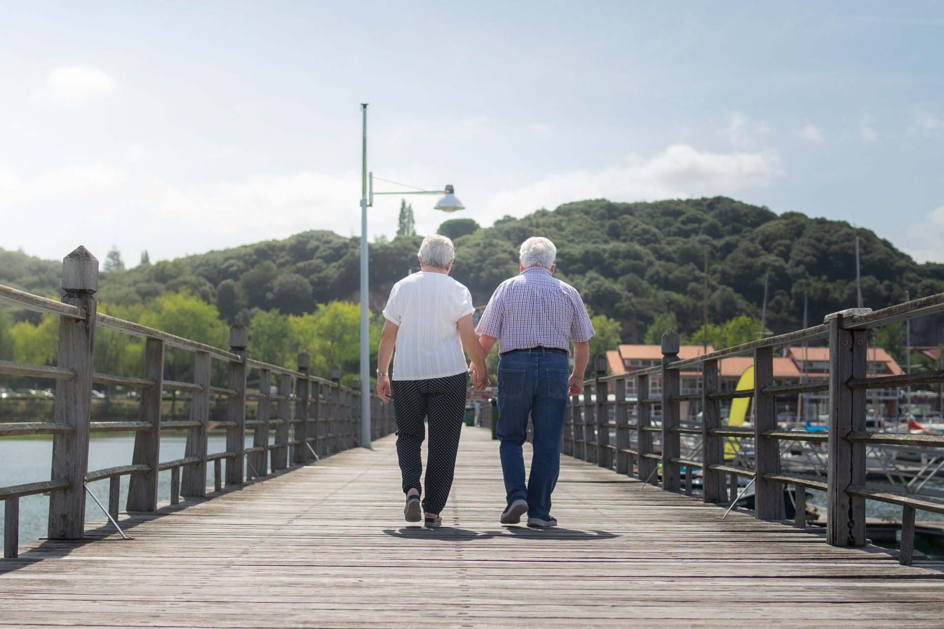 Europe's life expectancy hits a rut, but why?