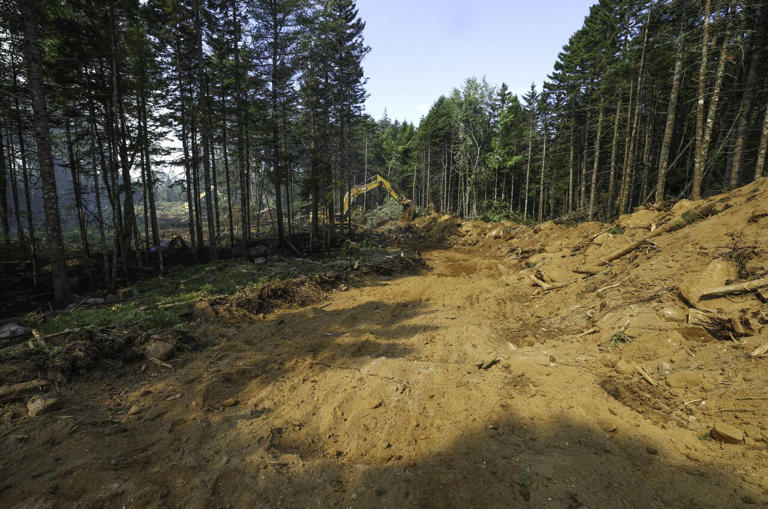 Crews fighting Annapolis Valley wildfire focused on protecting homes at ...