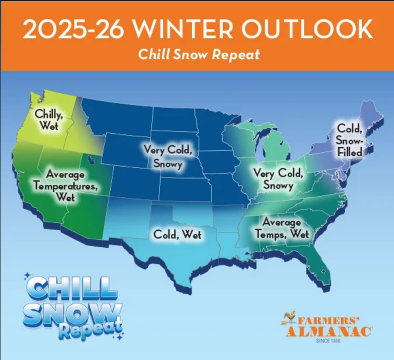 Here's how much snow Texas will see this winter, according to Farmers ...