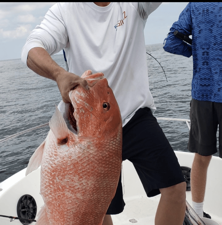 Recreational Red Snapper landing estimates through August 3
