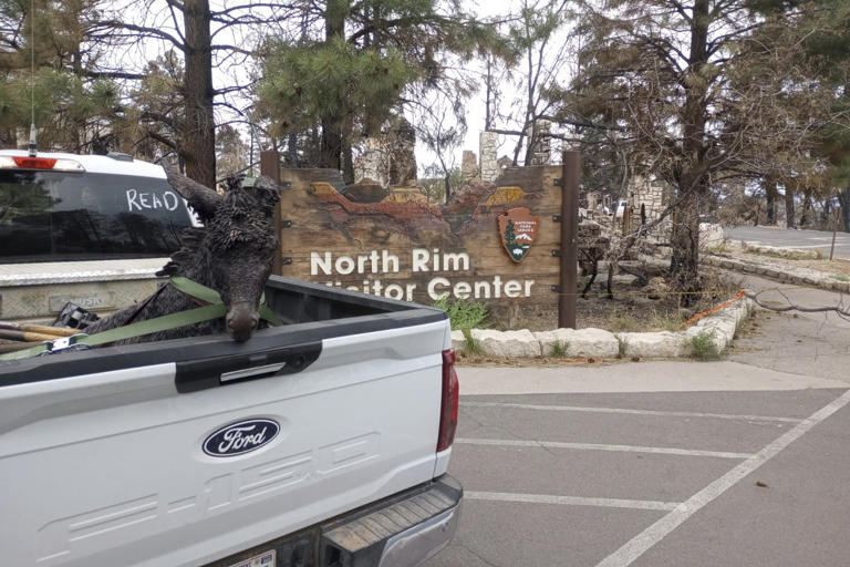 A Grand Canyon mascot is recovered from the rubble. Can Brighty the ...