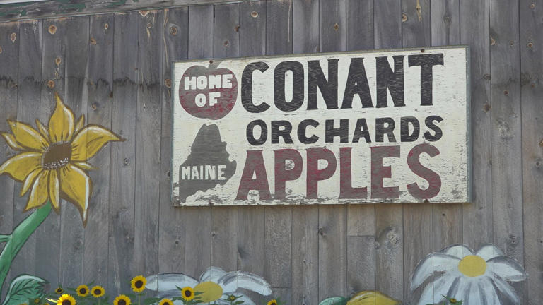 Conant Orchards kicks off 80th year with weekend event