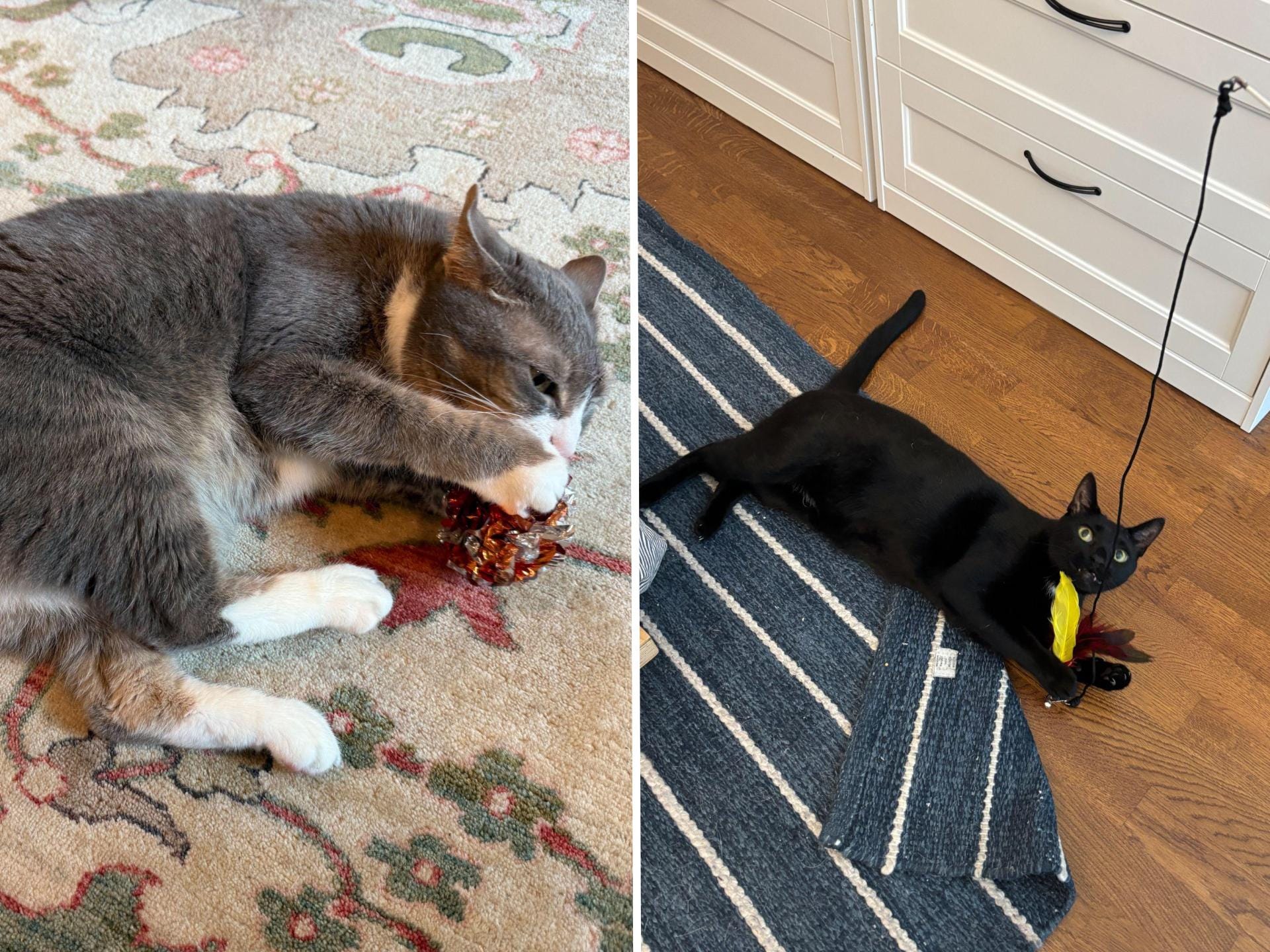 The best cat toys, tested and approved by our own kitties
