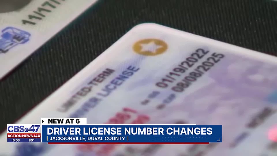 Driver License numbers are being updated across Florida; What that ...