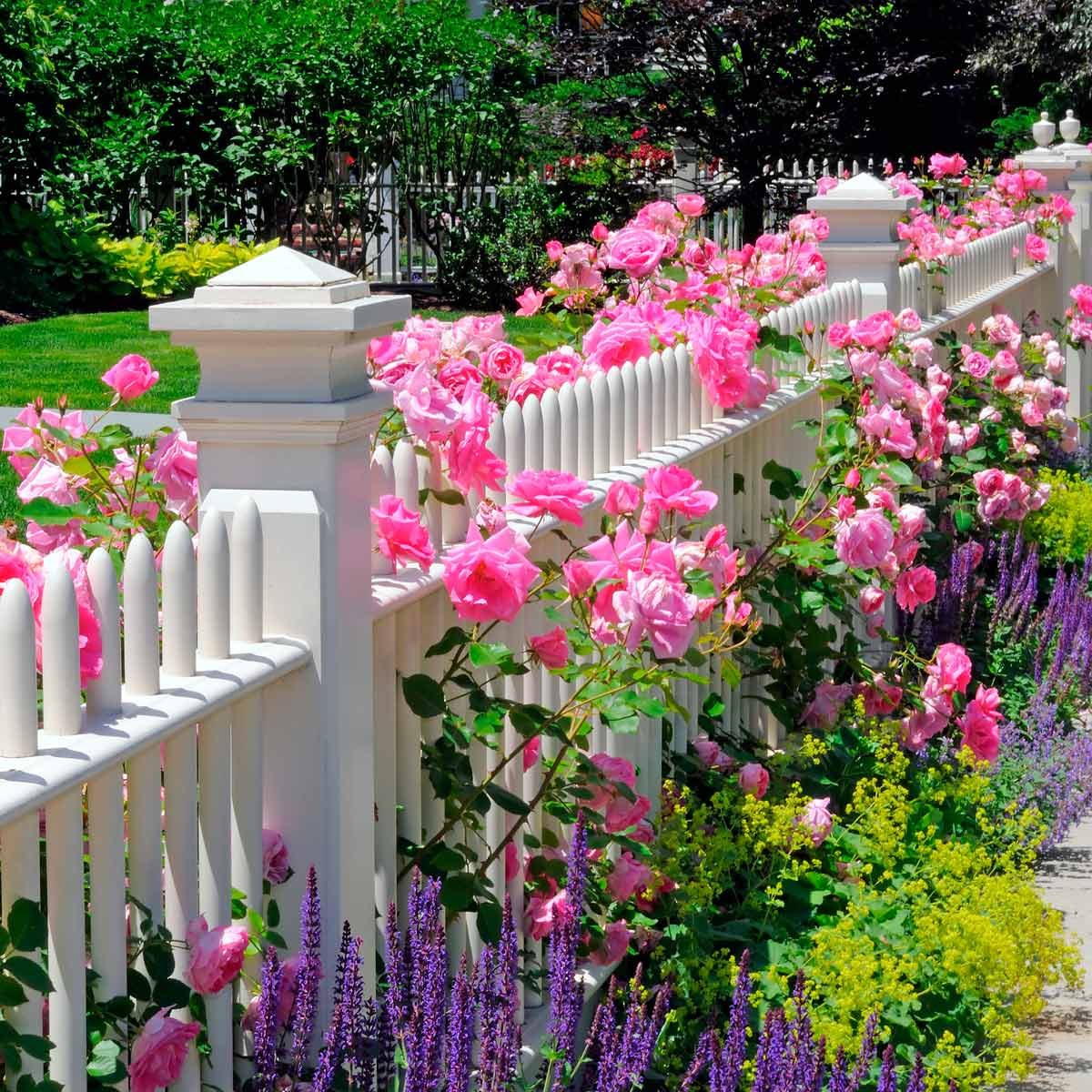 10 Front Yard Flower Bed Ideas to Make Your Space Bloom