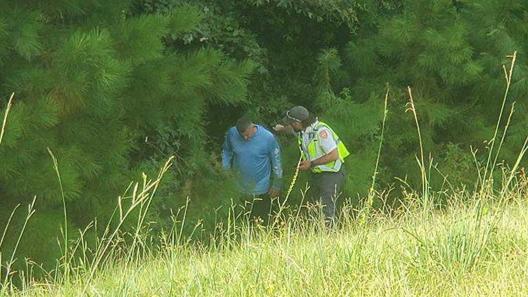 2 injured after vehicle crashes into trees on Highway 31