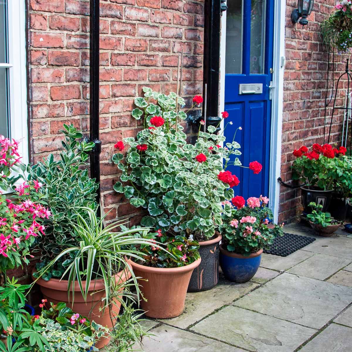 10 Front Yard Flower Bed Ideas to Make Your Space Bloom