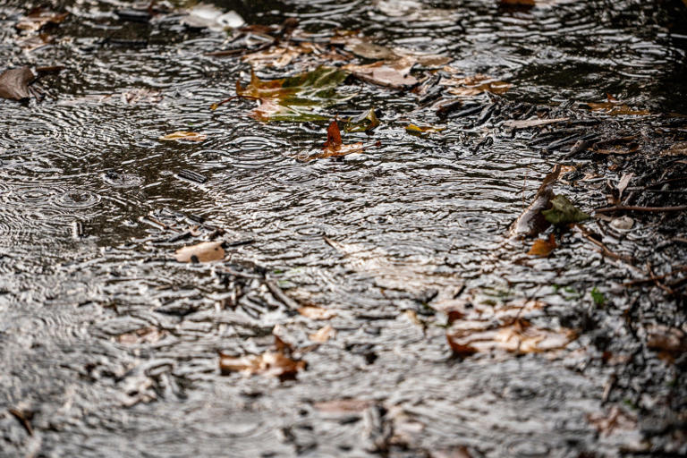 What are the highest rainfall totals in Iowa? Wednesday afternoon ...