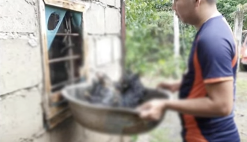 8 dogs died after getting trapped in Nueva Vizcaya fire