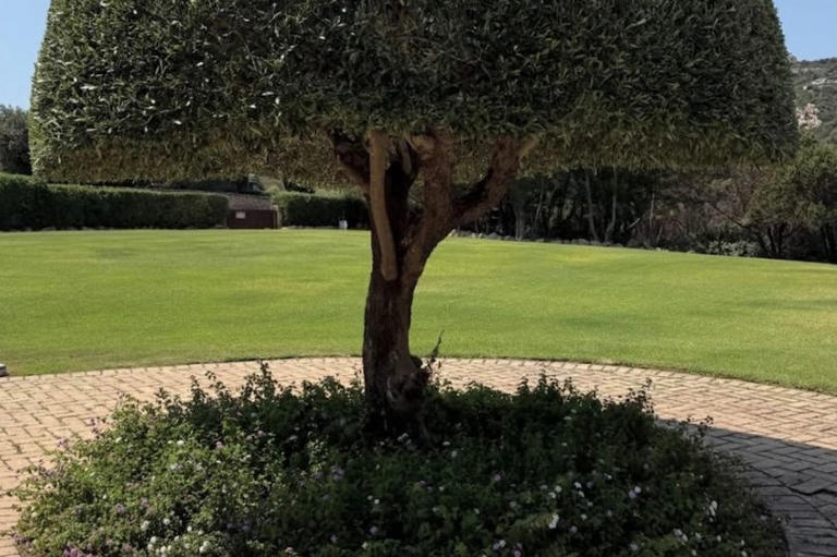 Ibiza Final Boss Jack Kay asks 'what just happened' after Bonnie Blue ...