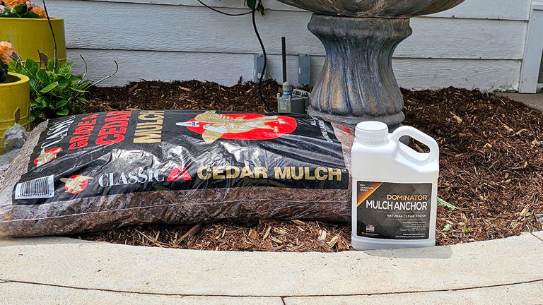 The Best Mulch Glues to Keep Your Yard Pristine, Tested