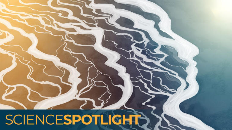 A braided stream, not a family tree: How new evidence upends our ...