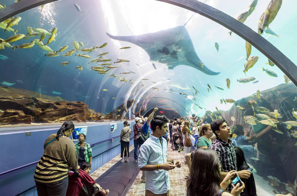 17 top US zoos and aquariums for kids