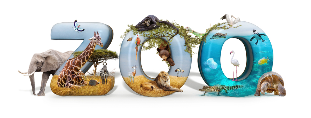 17 top US zoos and aquariums for kids