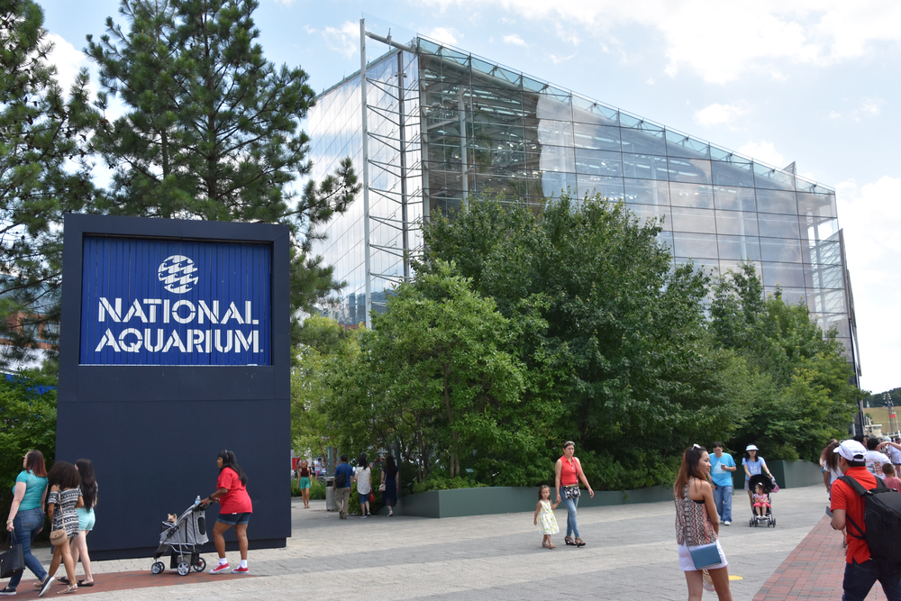 17 top US zoos and aquariums for kids