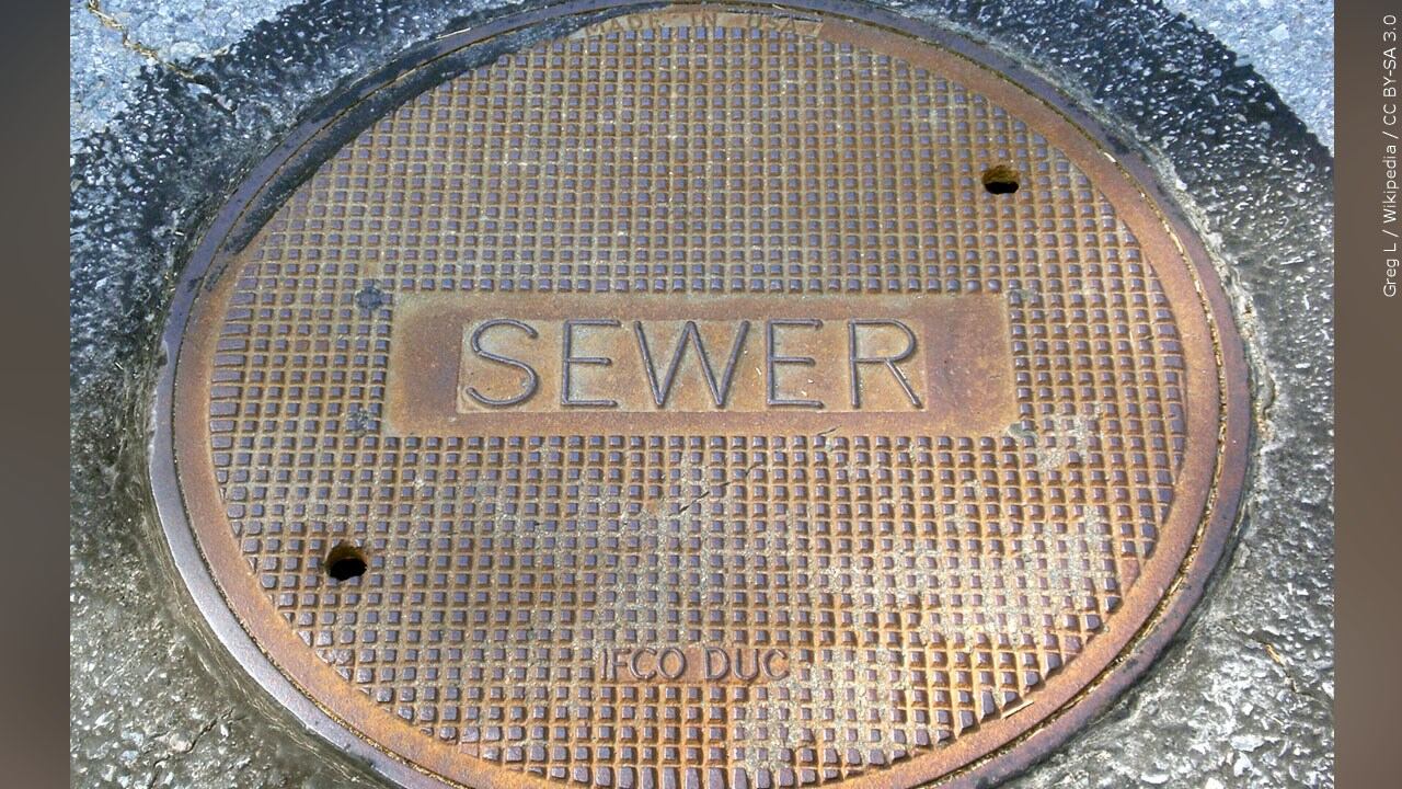 Excessive rainfall leads to sewage overflow in Florence, city says