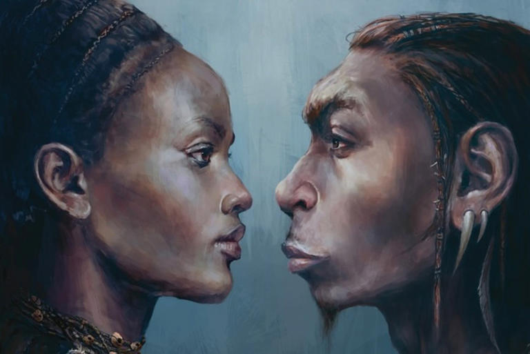 A braided stream, not a family tree: How new evidence upends our ...