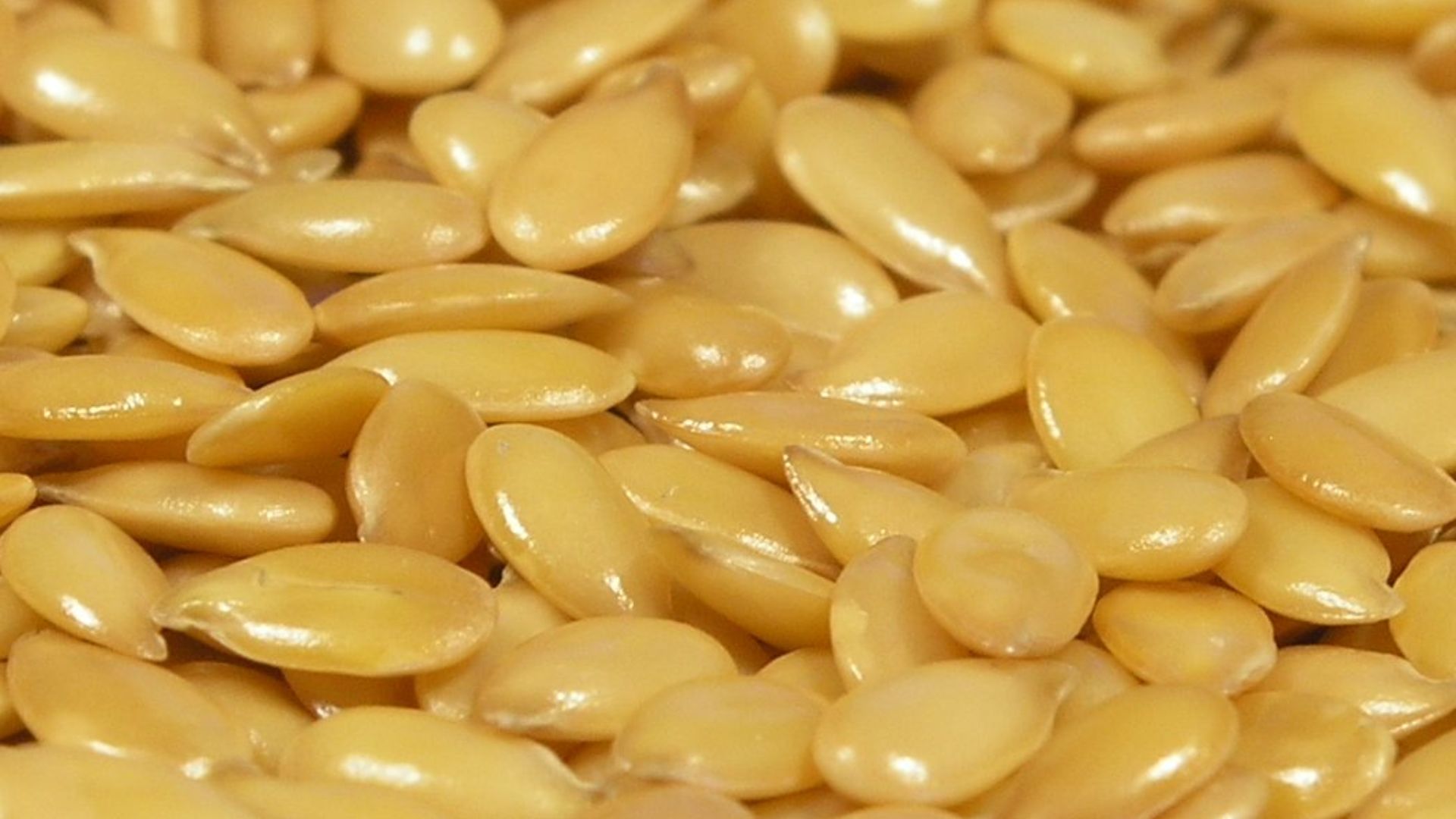 20 Foods With Healthy Fats