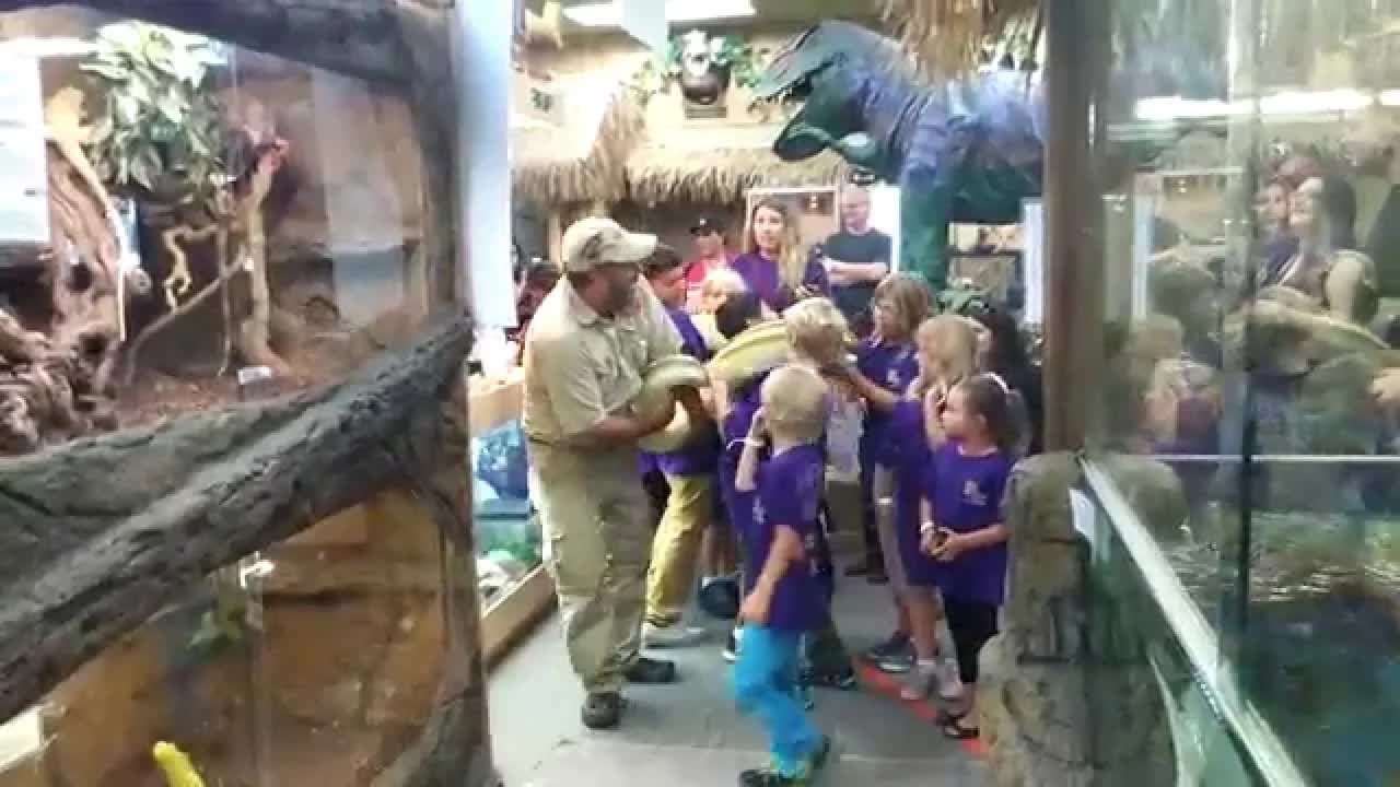 Kids get hands-on with reticulated python