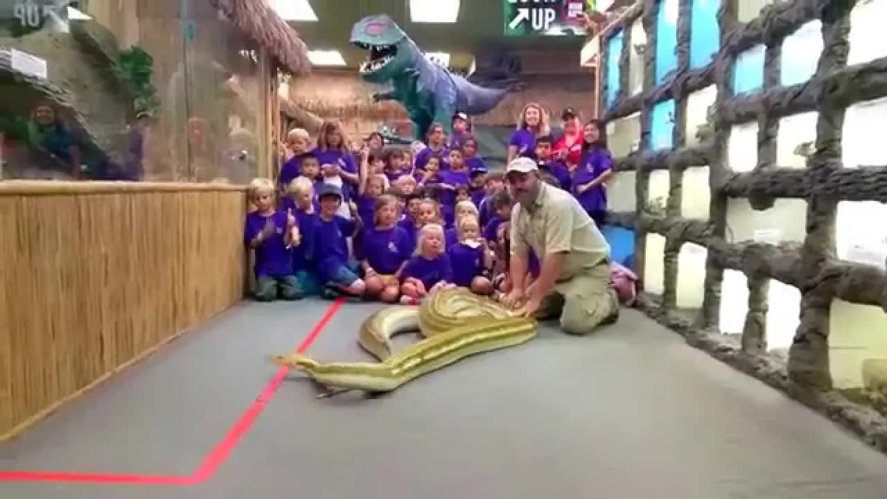 petting a reticulated python with Newport Heights kids!